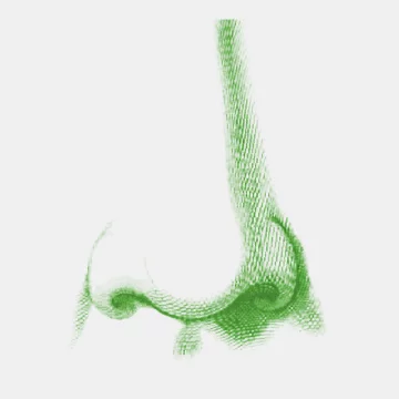 Home EN - Dr. von Gregory